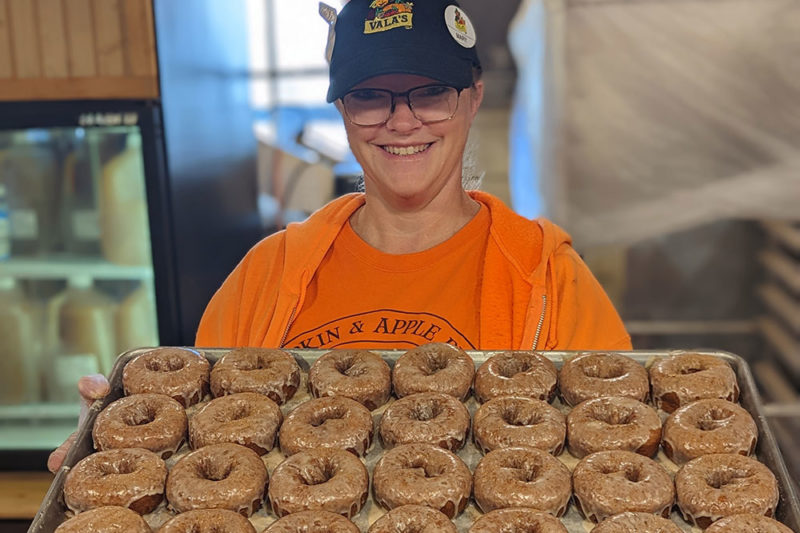 Pumpkin Harvest Festival - Fall Fun For Everyone | Vala's